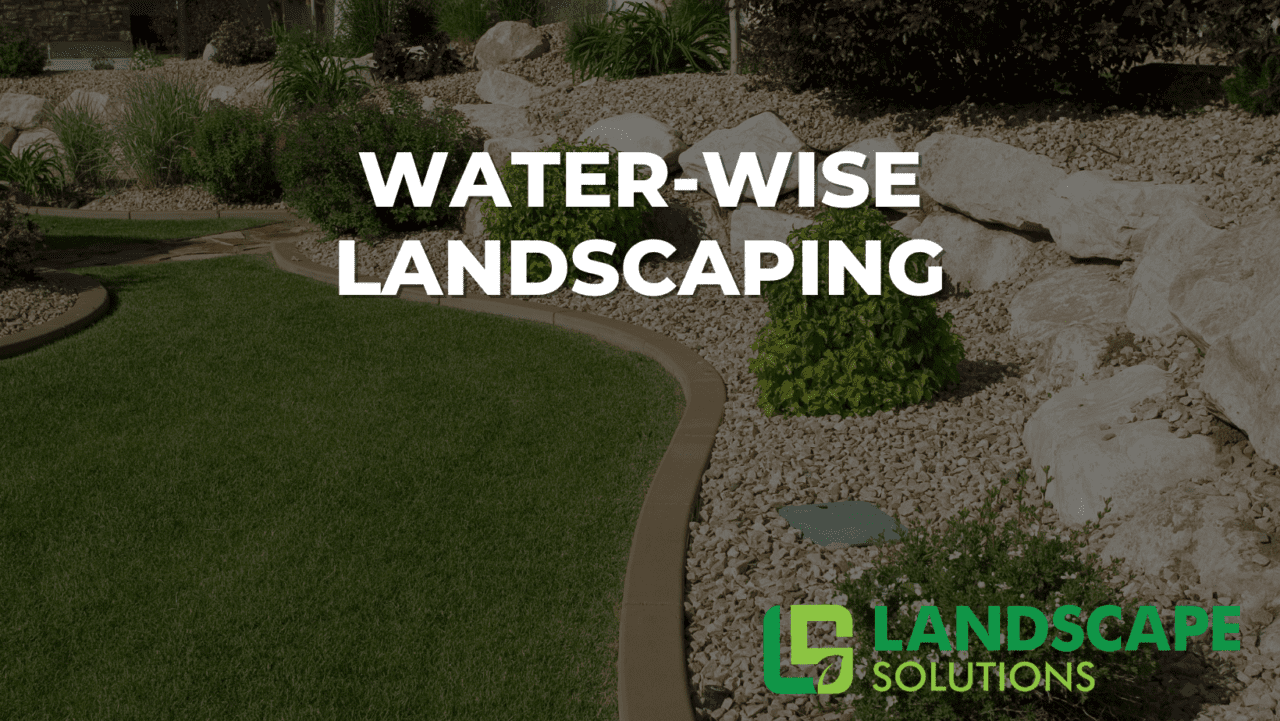 Water-Wise Landscaping: Sustainable Solutions for a Greener Future ...