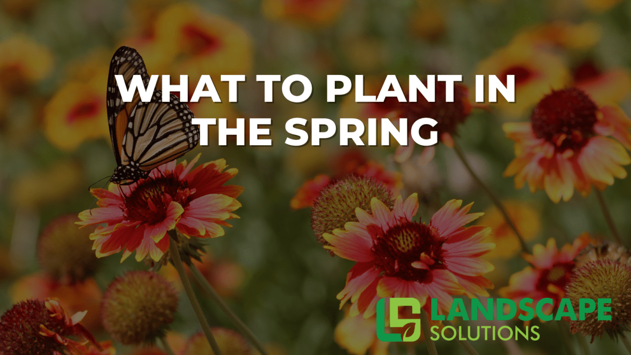 What to Plant in Spring for a Bountiful Season | Landscape Design ...